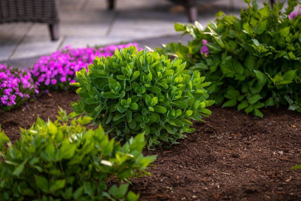 Landscaping Ideas for Small Backyards | Creative Concepts Landscapes